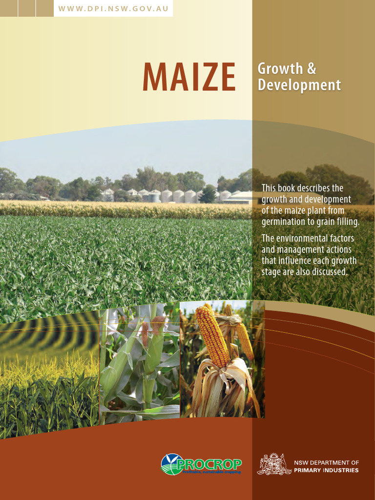 Procrop Maize Growth and Development | PDF | Starch | Maize