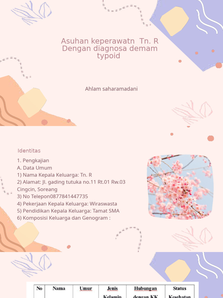 Asuhan Keperawatan untuk Demam Typhoid Tn. R | PDF