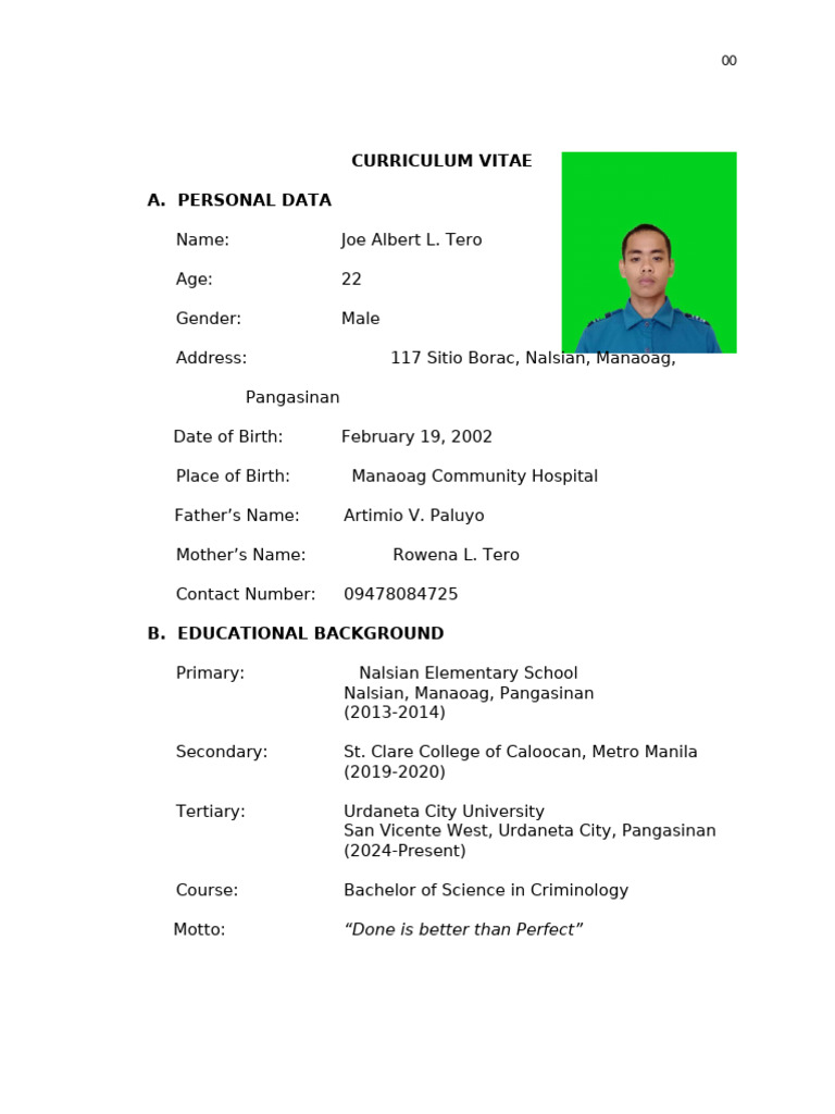 Curriculum Vitae Tero | PDF