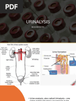 Urinalysis OSCE Guide: Step-by-Step | PDF | Urine | Urology