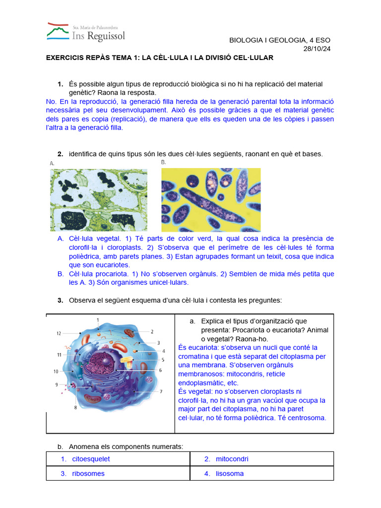 Exercicis Repàs Tema 1 - La Cèl Lula I La Divisió Cel Lular | PDF
