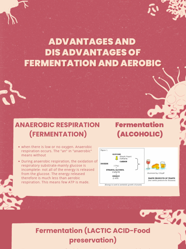 Anaerobic-respiration-fermentation 20241114 070151 0000 | PDF