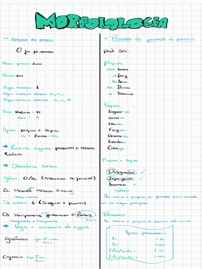 MORFOLOGIA | PDF