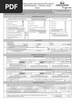 Formulario Registro Único Empresarial RUES | PDF