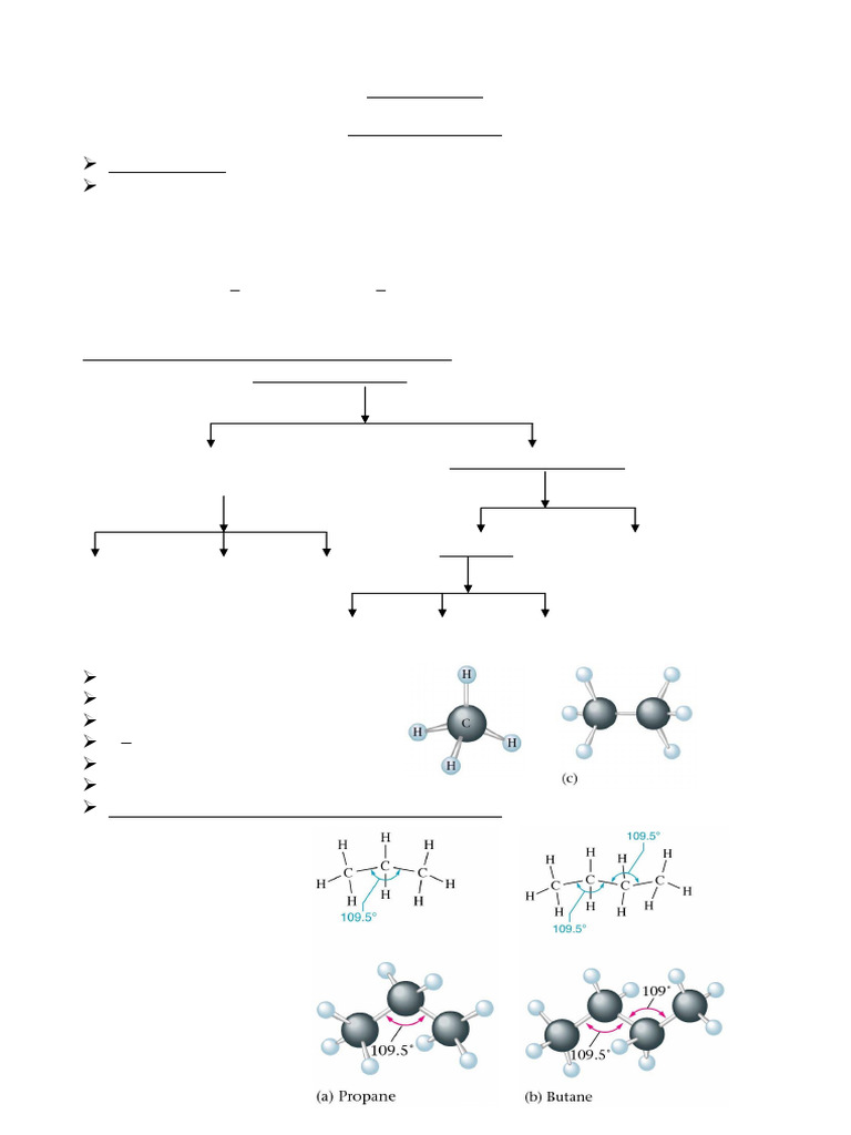 11 Chemistry Notes Ch13 Hydrocarbons | PDF | Alkene | Alkane
