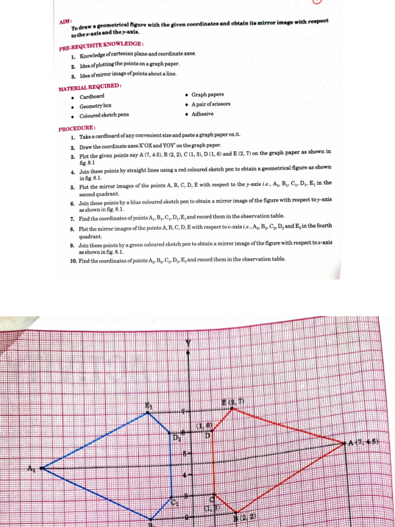 Activity For Class IX | PDF