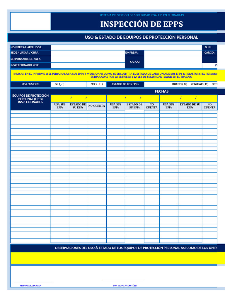 Formato de Inspección de EPPs 2020 (2) | PDF