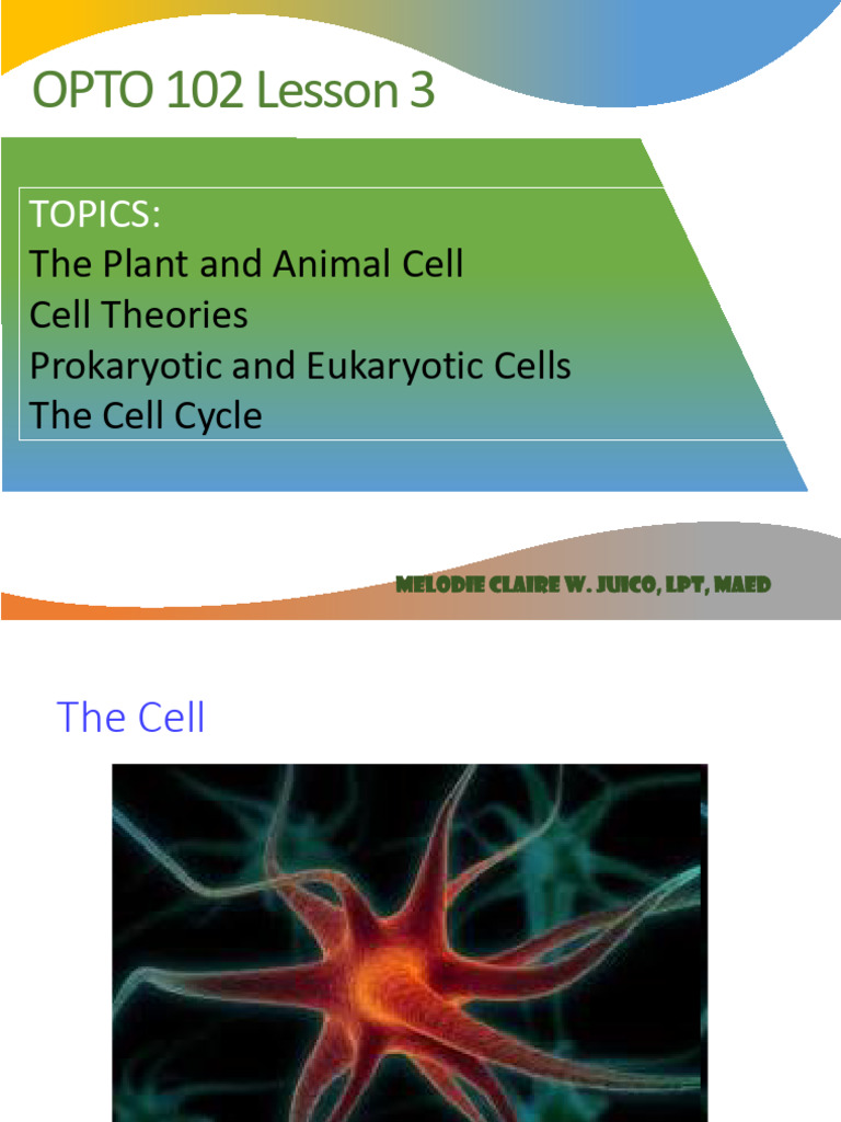 Lesson 3 Prelim | PDF | Cell (Biology) | Mitosis