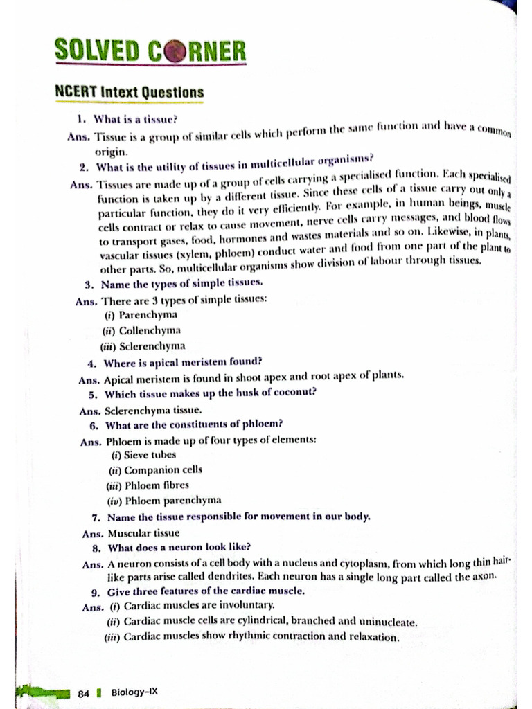 Biology Ch-2 Tissue | PDF