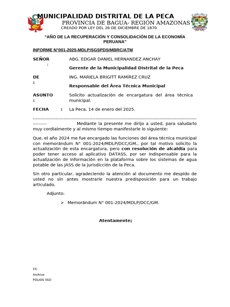 Informe Tecnico N 001 Actualización de Encargatura | PDF