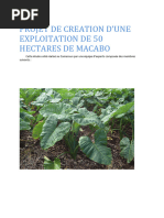Culture Du Macabo | PDF | Fertilisant | Maïs