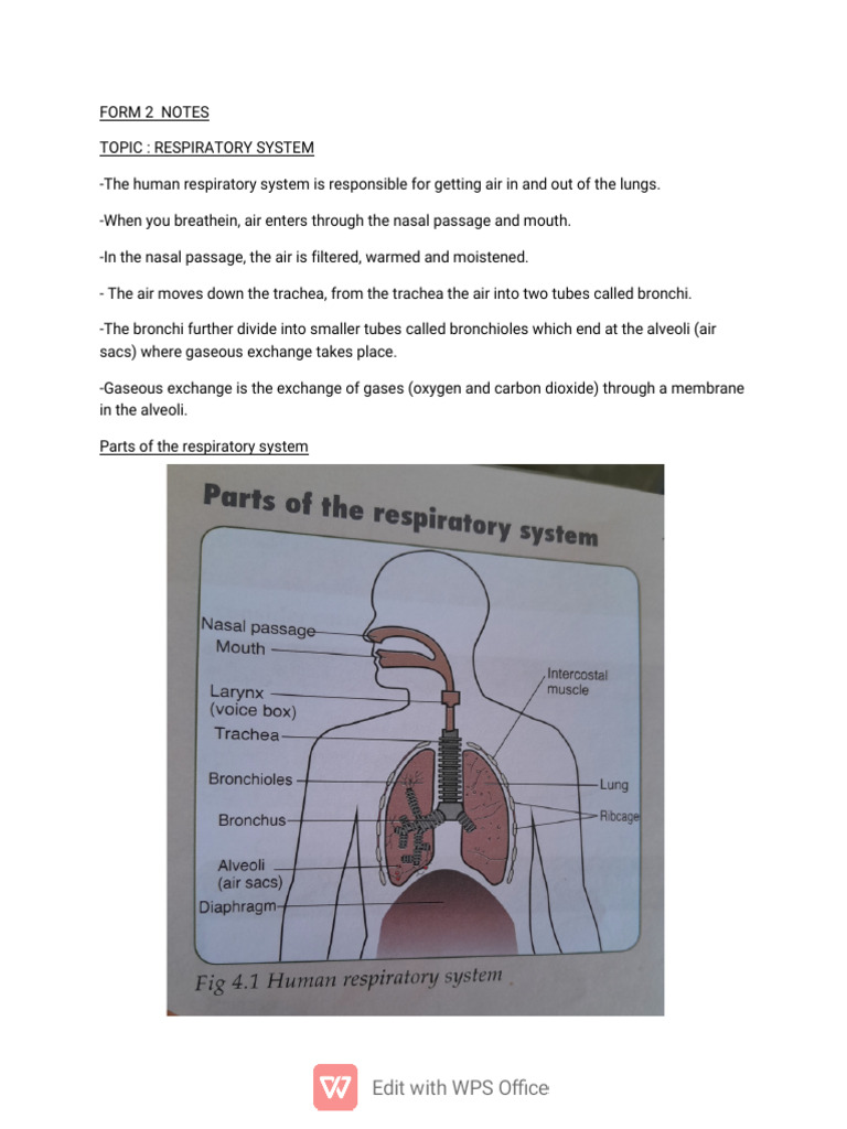 FORM 2 NOTES | PDF