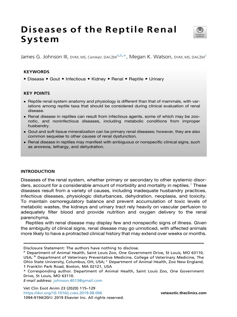 Diseases of The Reptile Renal System - Vap | PDF | Kidney | Medical ...