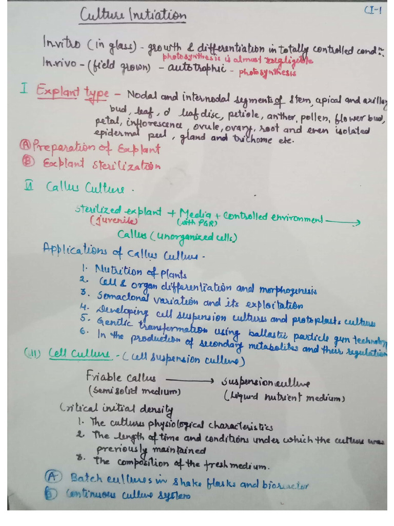 Cultural Initiation | PDF