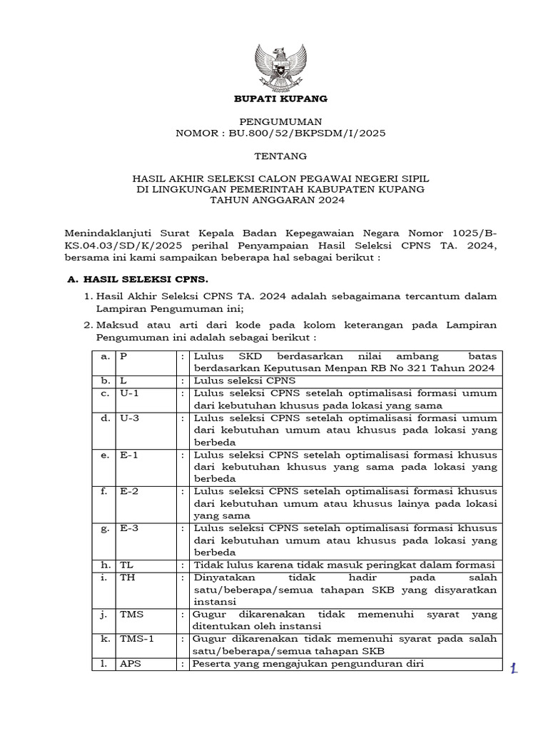 Pengumuman Hasil Akhir Seleksi CPNS Ta. 2024 | PDF