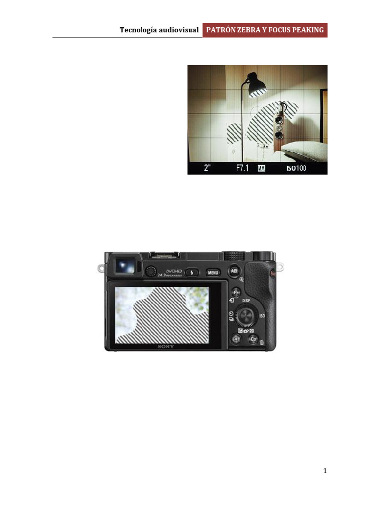 Zebra y Focus Peaking en Videocámaras | PDF | Fotografía digital | Óptica