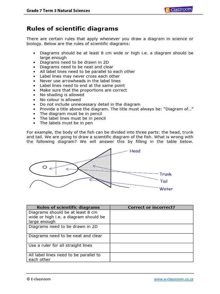 01-scientific-diagrams | PDF
