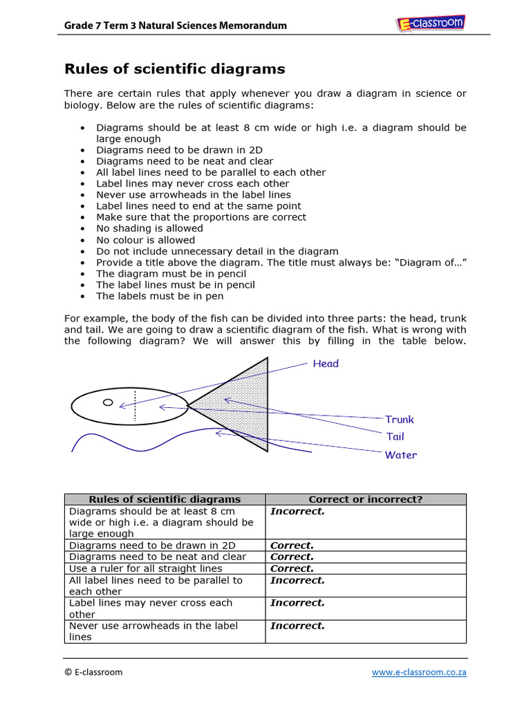 01 Scientific Diagrams Memo | PDF