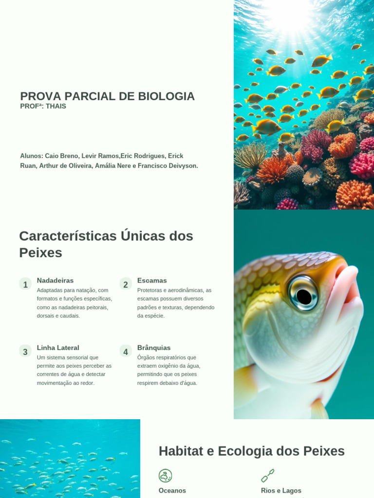 Prova-parcial-De-biologia - PPTX (2) .PPTX 20241130 173257 0000 | PDF | Peixes | Brânquia