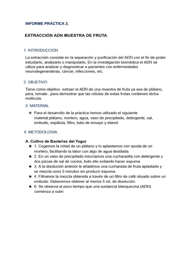 Informe Practica 2 | PDF