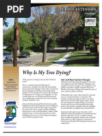 V4 Trees Issue 2 Operatives Handout | PDF | Trees | Root