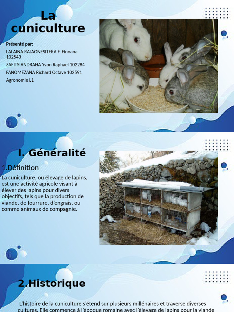 Élevage de Lapin | PDF | Lapin