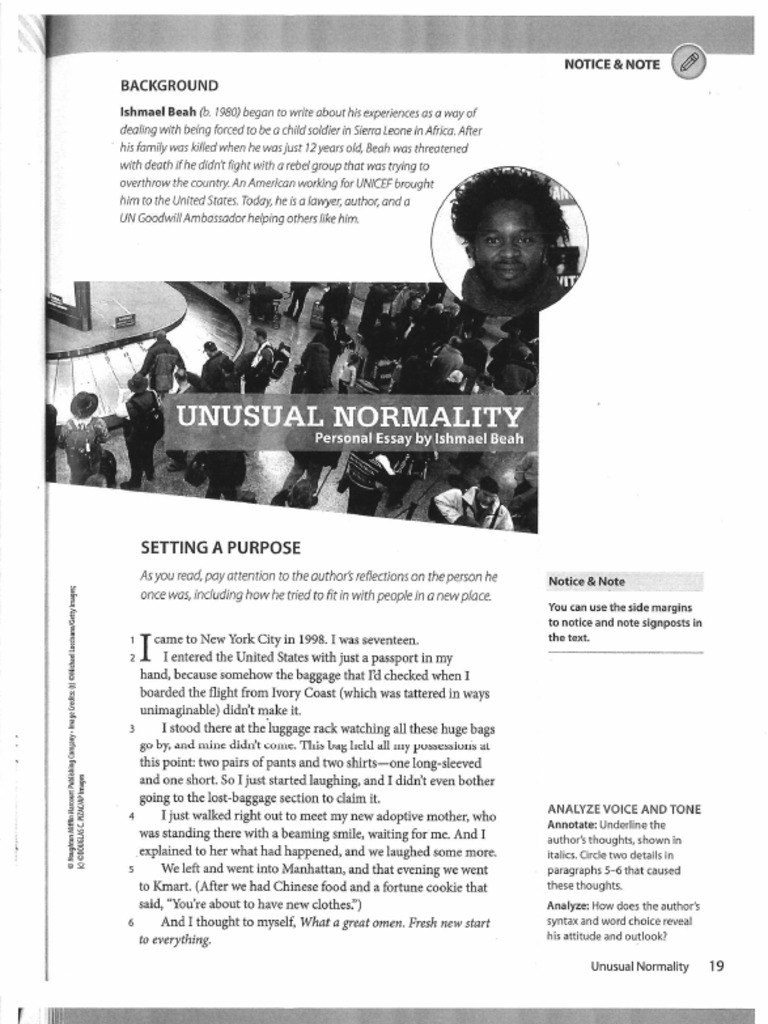 Unusual Normality 1 | PDF | Guerrilla Warfare