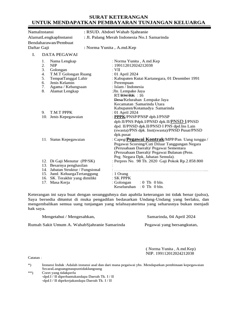 Format Model D Untuk PPPK | PDF