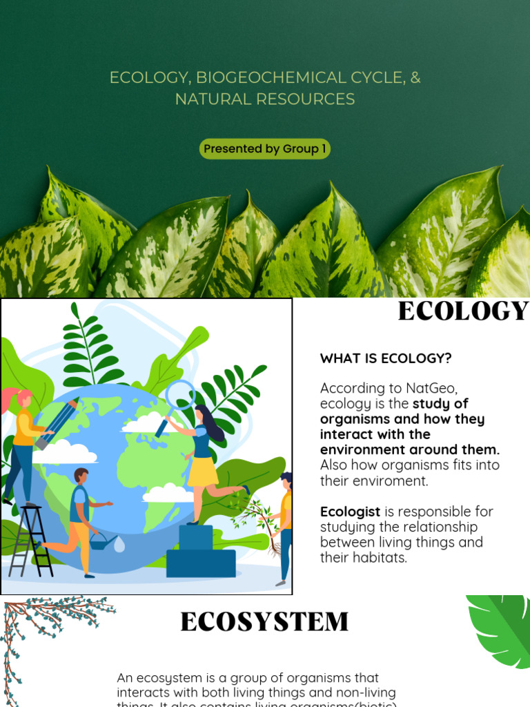 Ecology, Biogeochemical Cycle | PDF | Renewable Energy | Biodiversity