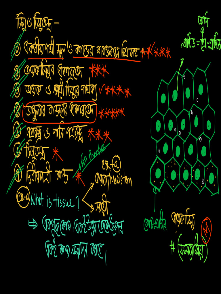 Class Note Tissue FRB 25 | PDF