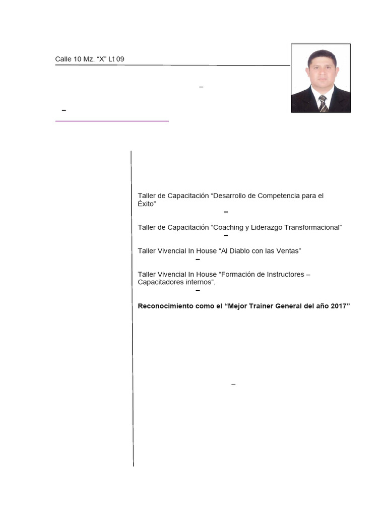 CV Marlon Ramirez Nov 2024 | PDF