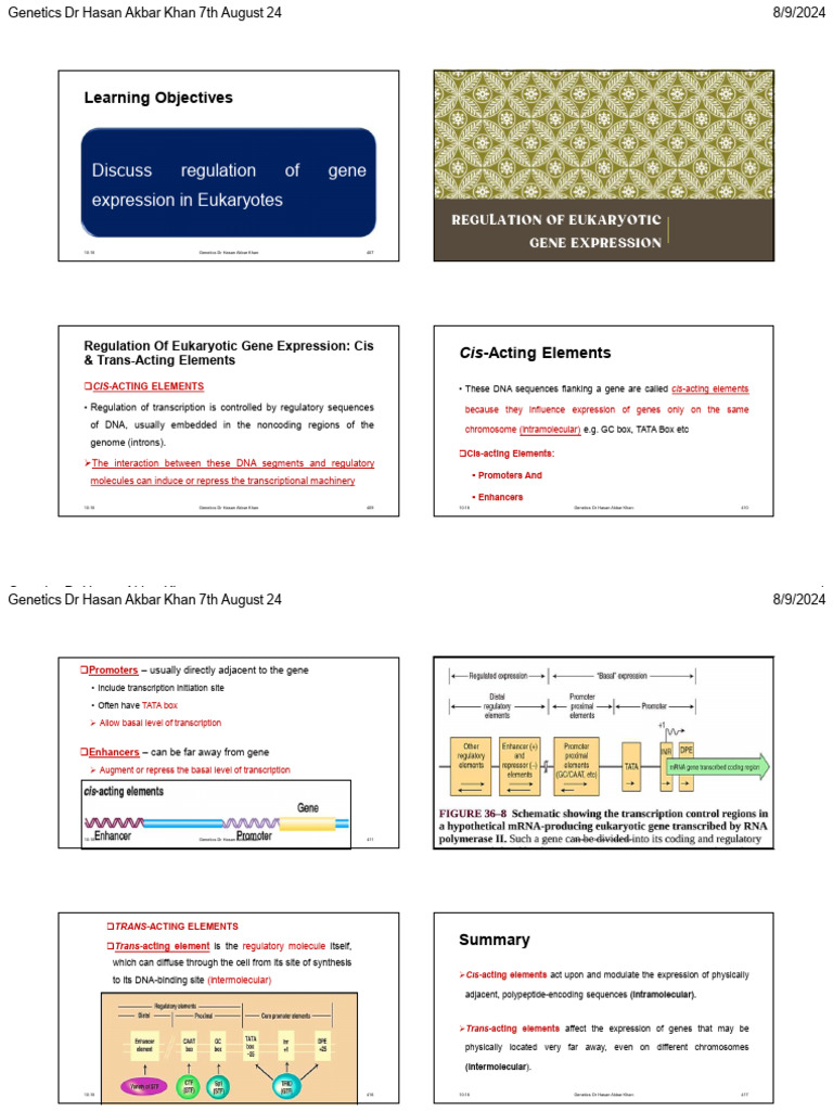 Biochemistry Genetics 0.7 | PDF | Histone | Regulation Of Gene Expression