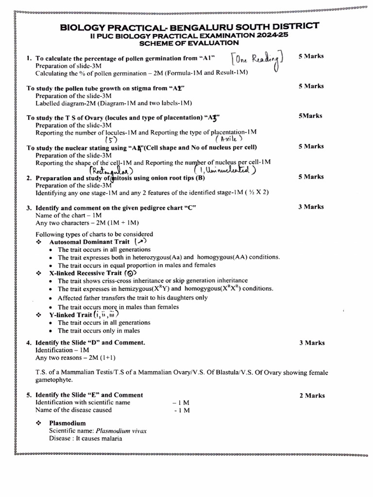 Biology Practicals (Scheme of Evaluation) | PDF | Mitosis | Plants