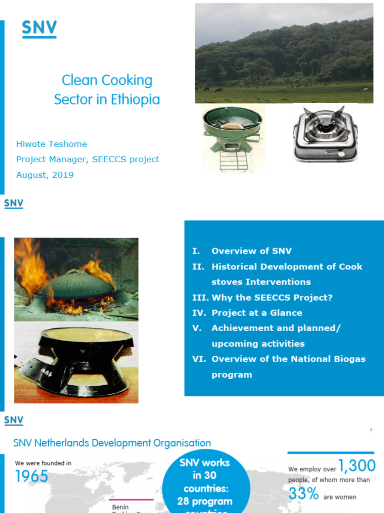 Clean Cooking Sector in Ethiopia - Hiwote Teshome | PDF