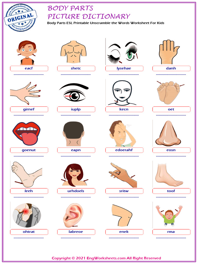 body-parts-esl-printable-unscramble-the-words-worksheet-for-kids-9979 | PDF