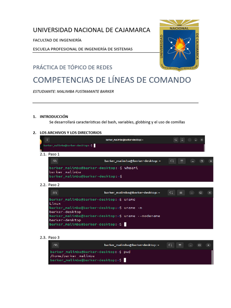 Práctica de Bash y Comandos Shell | PDF