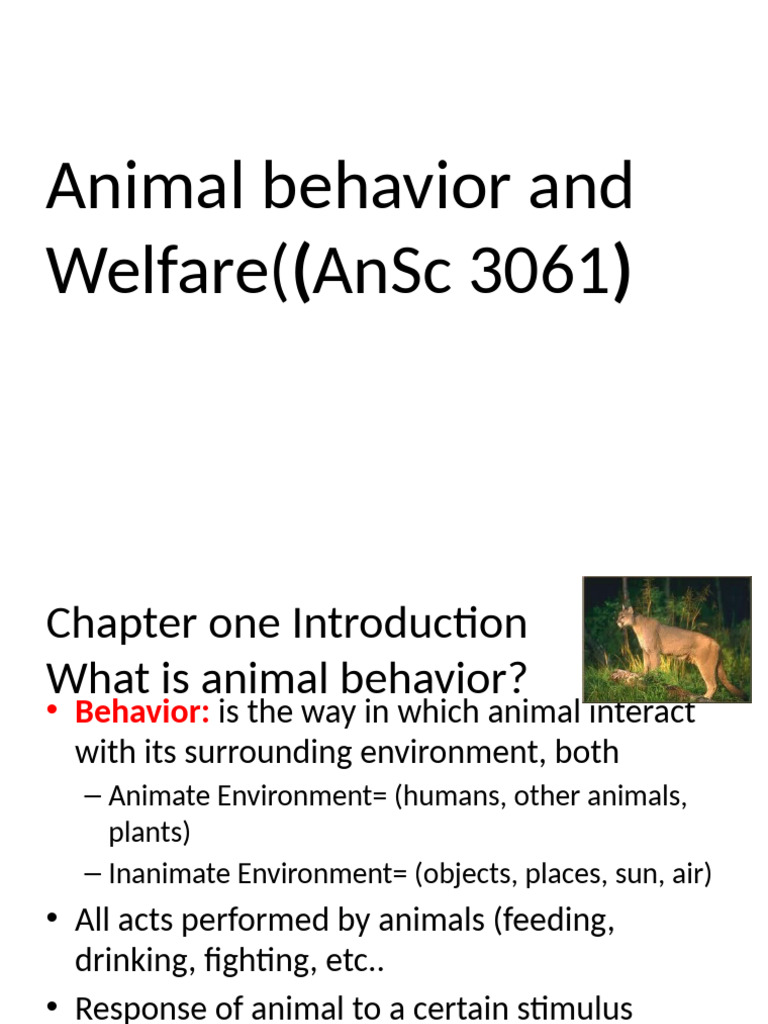 Animal Behavior | PDF | Classical Conditioning | Reinforcement
