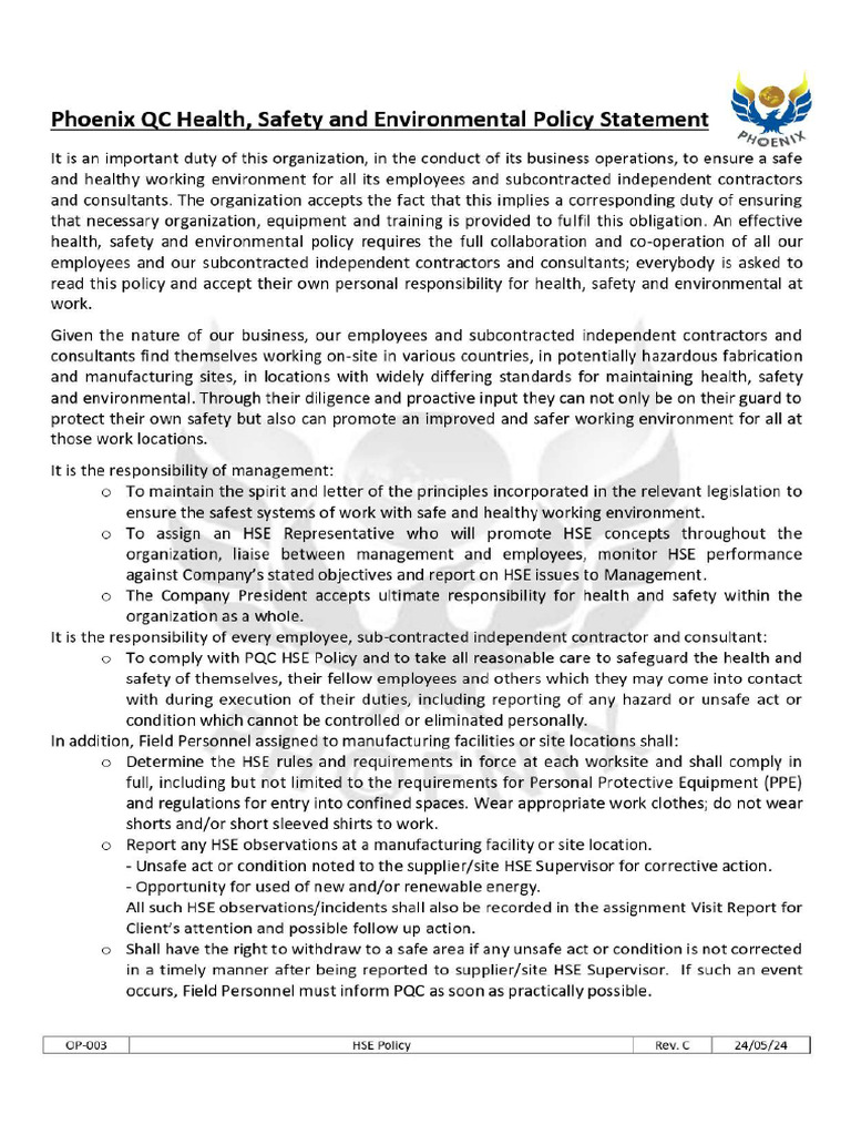 HSE Policy statement | PDF