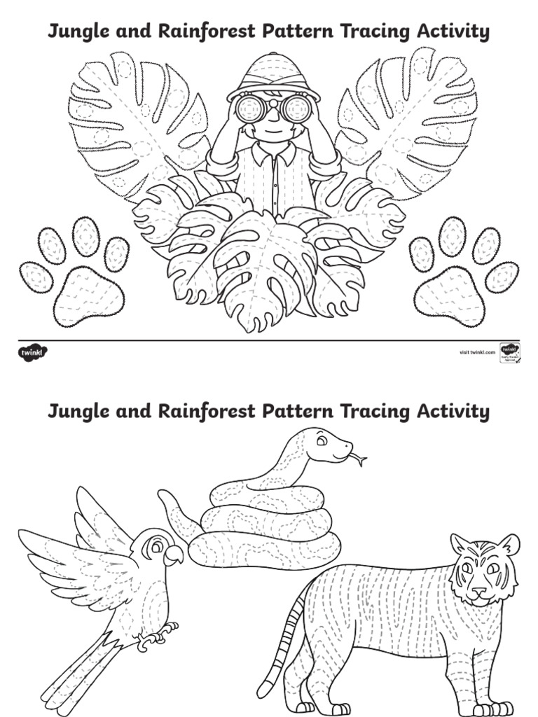 Worksheet - The Jungle | PDF