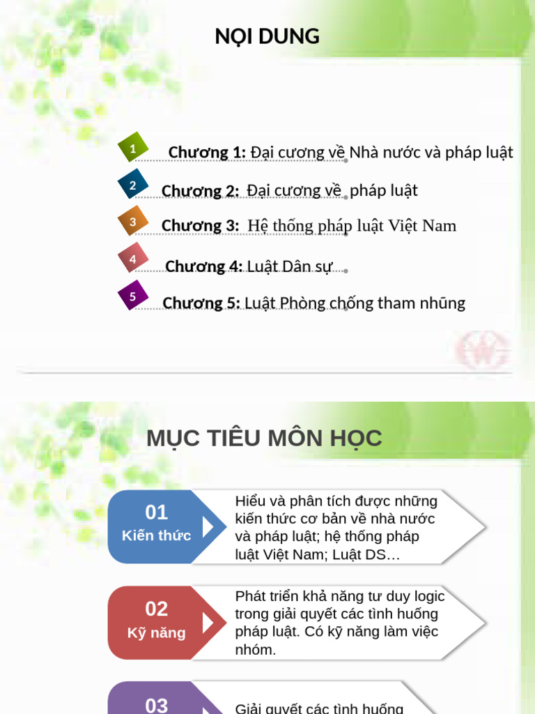 Bài giảng PLĐC . huong | PDF