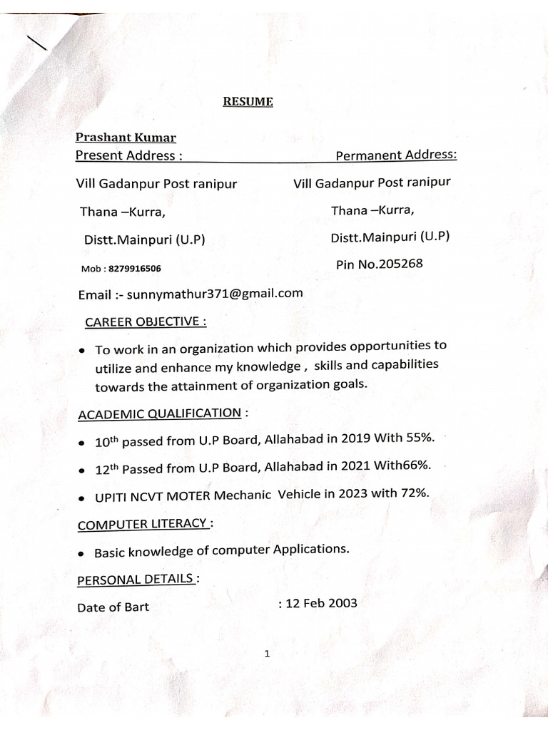 Sunny Mathur Resume | PDF