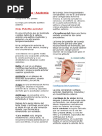 Otoscopia Normal | PDF | Oído | Anatomía