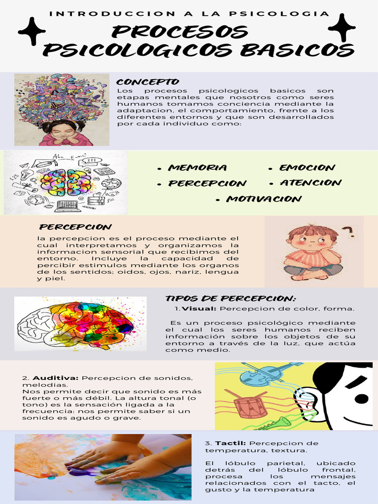 Actividad 4 - Procesos psicologicos basicos | PDF | Percepción | Gusto
