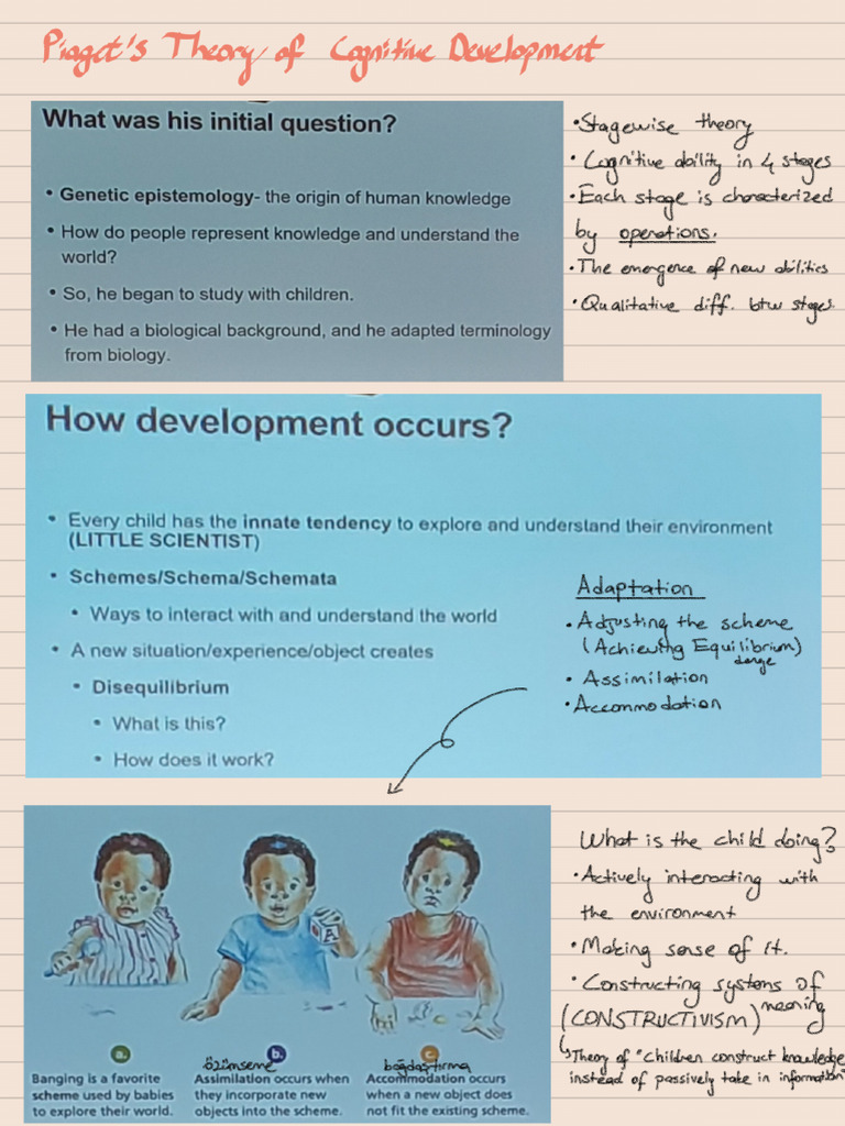 W3 Piaget's Theory of Cognitive Development_241030_133259 | PDF