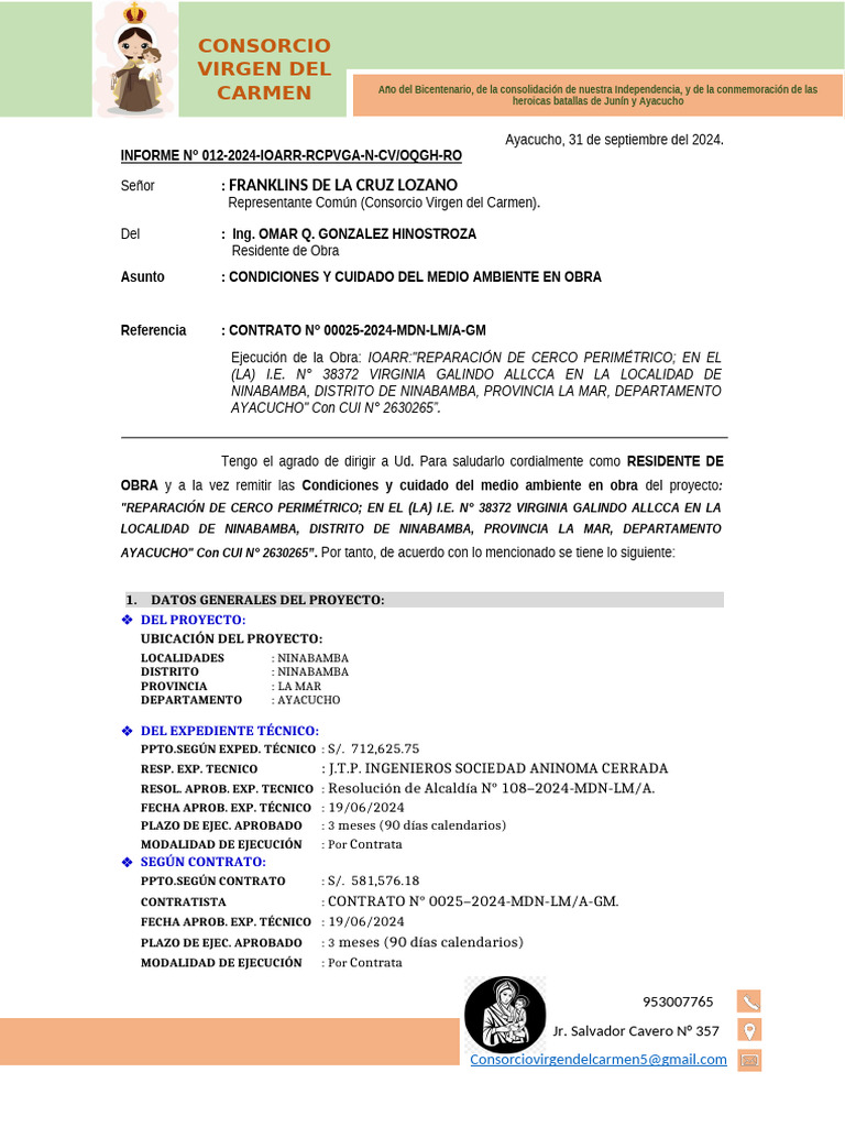 INFORME 012 de Medio Ambiente | PDF