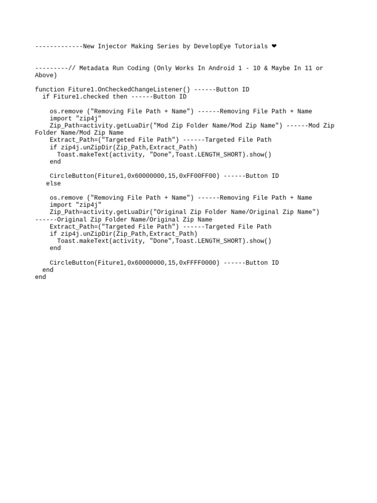 Run Metadata in Injector Only Coding 2024 30 12 02 49 19 | PDF