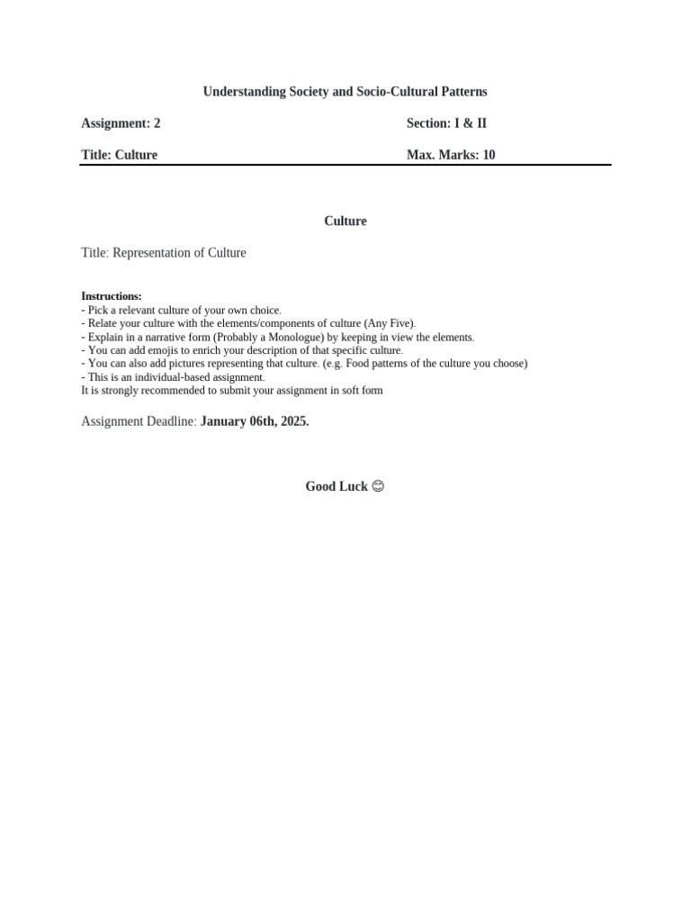 Culture Representation Assignment Guide | PDF