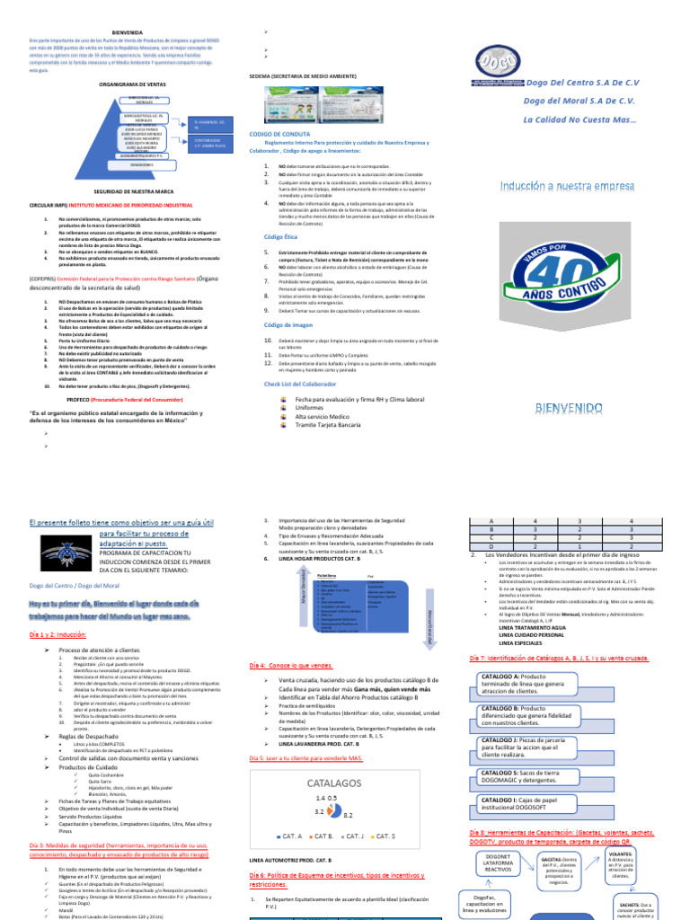 Inducción y Normas DOGO para Ventas | PDF