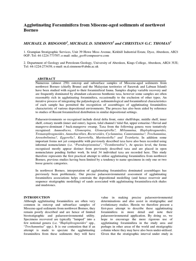 Miocene Agglutinating Foraminifera Borneo | PDF | River Delta | Earth ...