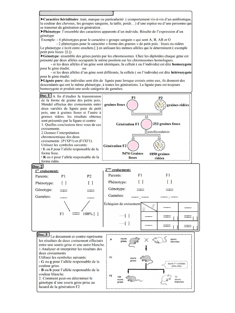 Documents Lois Statéstiques de Transmission Des Caractères Héréditaires Chez Les Diploides | PDF